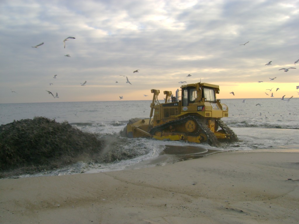 Beach Construction Renourishment :: Leahy Institute